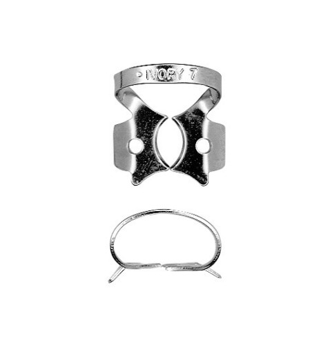 Ivory Clamp SS 7 Regular Molar | Independent Dental Supplies