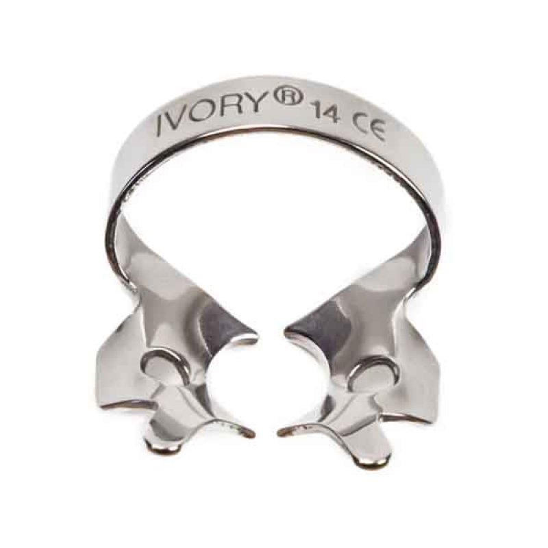 Ivory Clamp SS 14 Wnglss Molar | Independent Dental Supplies